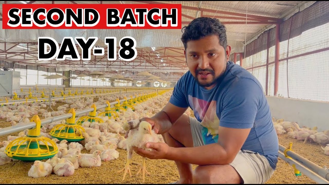 SECOND BATCH DAY 18 - YouTube