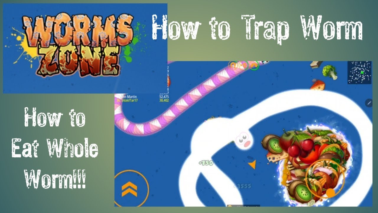 Worm Zone : How to trap worm ansd eat whole!!! - YouTube