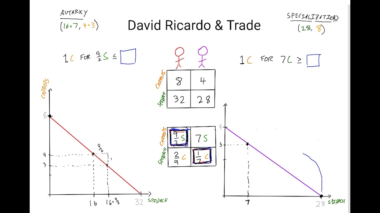 Tutorial 1.F | David Ricardo and Trade - YouTube