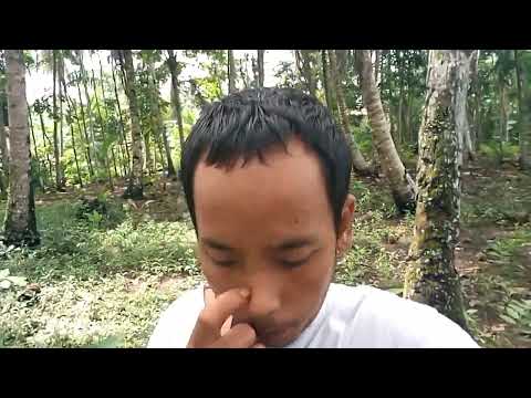 Ngintip Bibi Di Semak semak