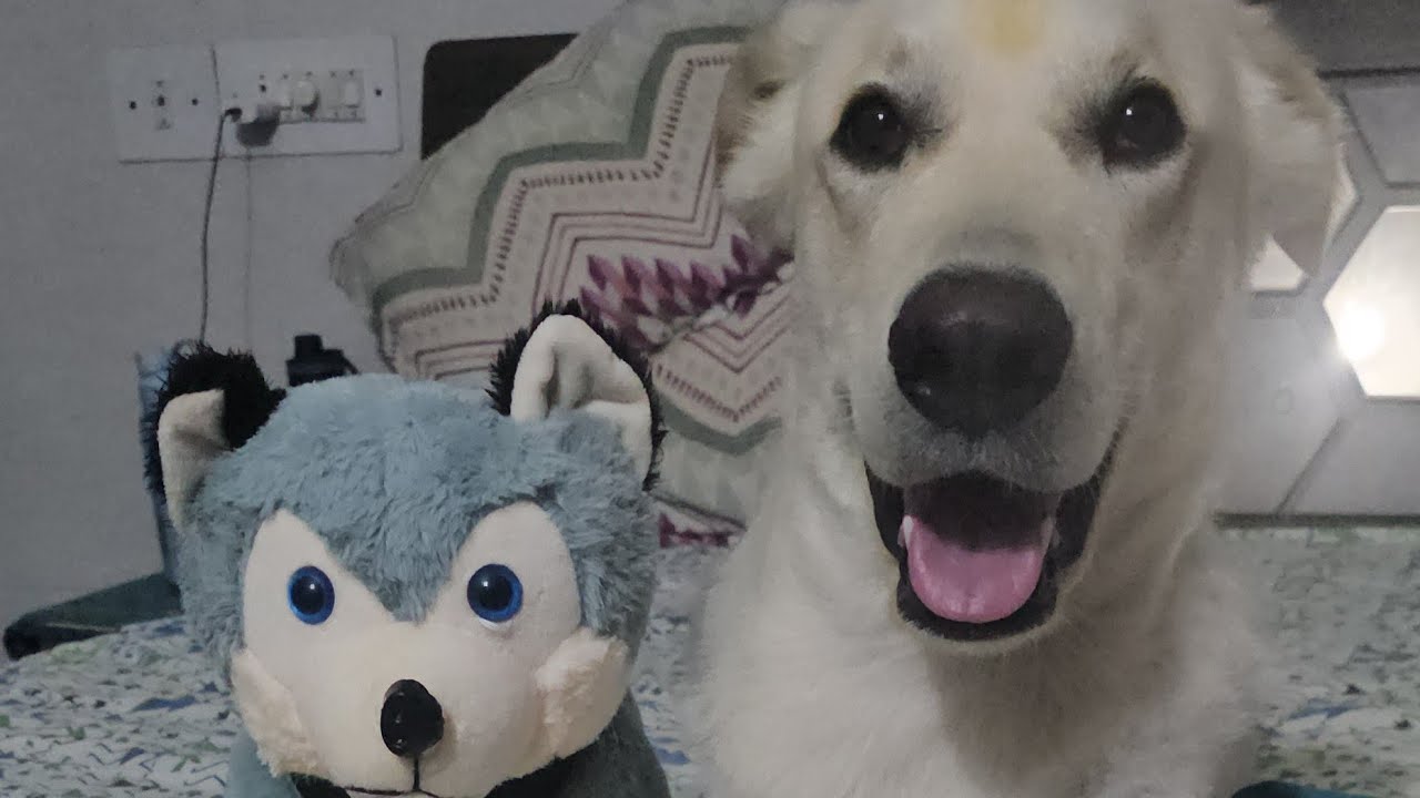 Welcome to Archie's funny live ♥️ 😜..please like live and subscribe ...