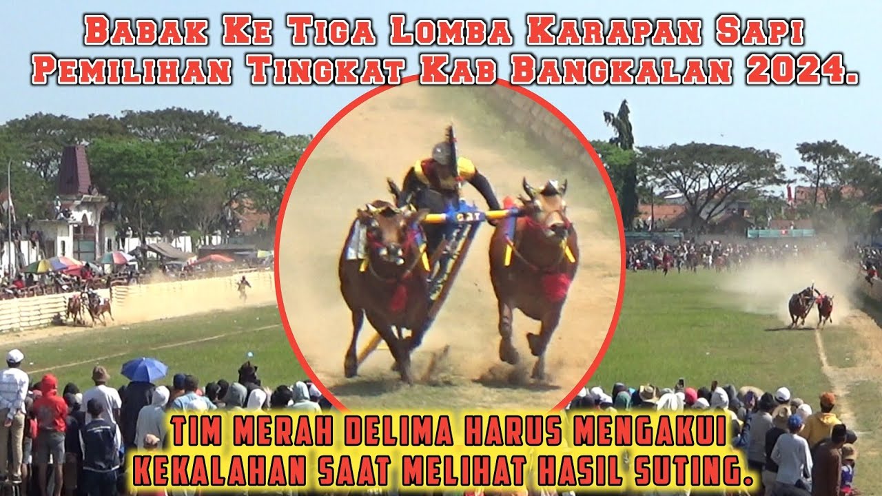 Babak Ke Tiga Lomba Karapan Sapi Pemilihan Tingkat Kab Bangkalan,Tim ...