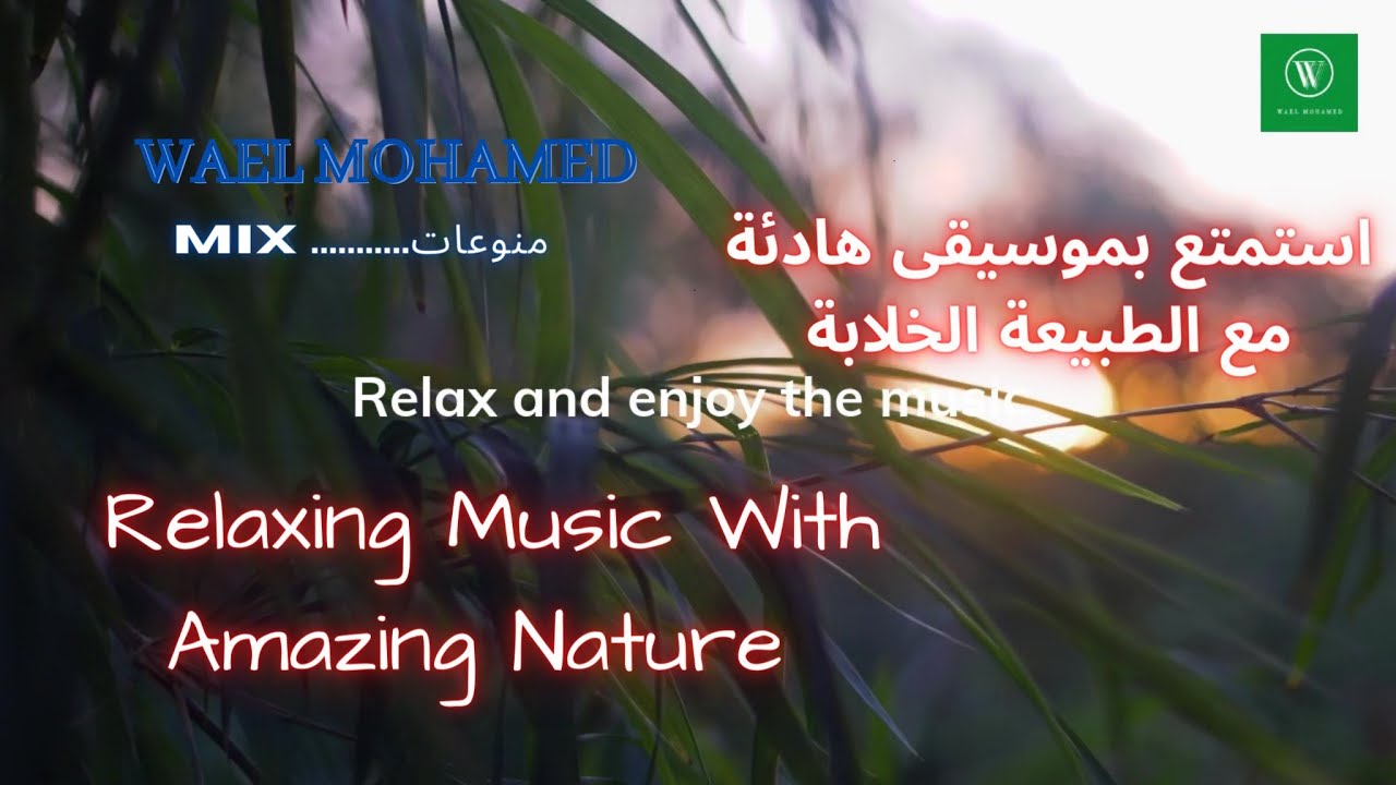 Relax and enjoy the music| Relaxing Music 24/7| Stress Relief Music ...
