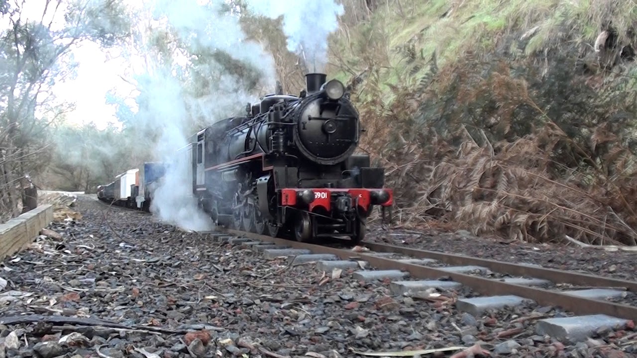 5901 goods train. Wandong Live Steamers. - YouTube