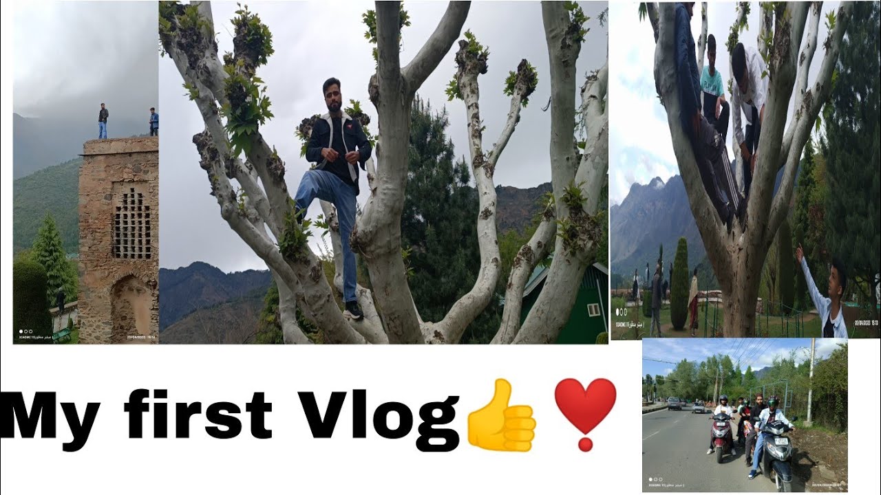 My First Vlog👍 ️||Basit bashir vlog||#vlogs #vlog - YouTube