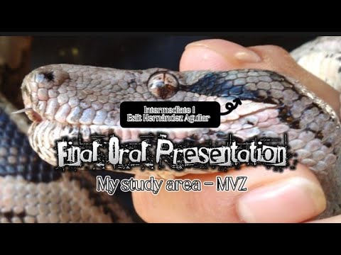 FINAL ORAL PRESENTATION- INTERMEDIATE 1 - YouTube