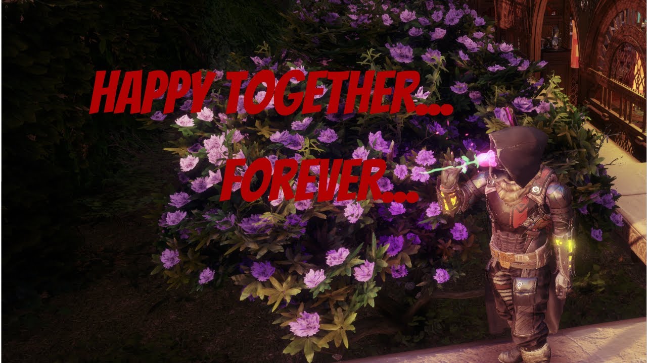 Forever Happy, Together. A Destiny 2 Friendship Montage - YouTube