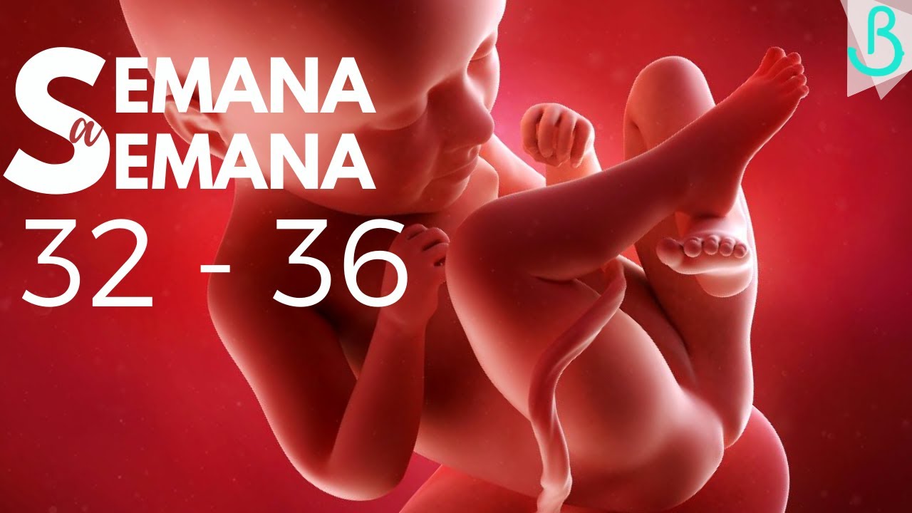 🤰🏻📆SEMANAS 32 - 36 DE EMBARAZO | TERCER TRIMESTRE | SEMANA A SEMANA || Baby Suite by Pau - YouTube