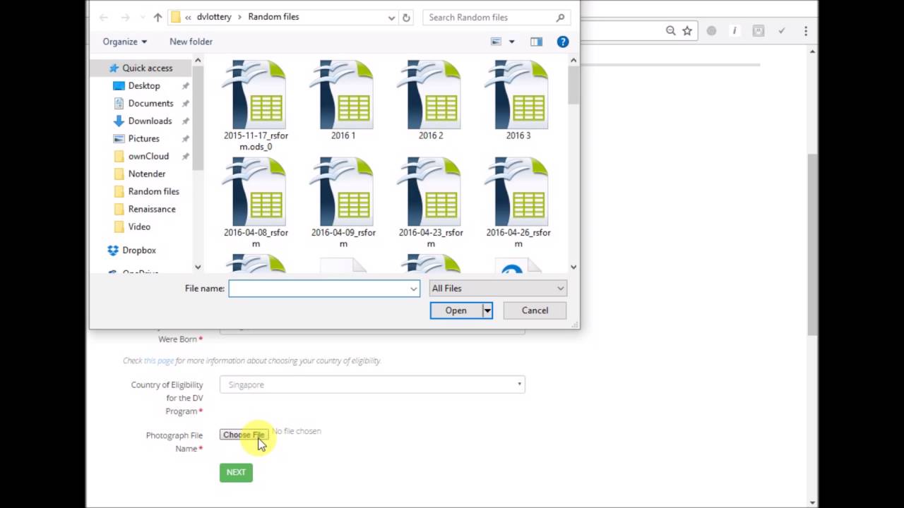 DV 2019 - U.S. Diversity Immigrant Visa Program Tutorial: Submitting an ...