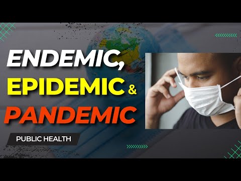Endemic, Epidemic and Pandemic Difference Explained | Public Health 101 ...