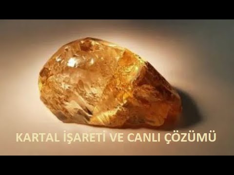TÜRKİYEDE BİR İLK ! Kartal İşaretinin Yumurtaları Yani ELMAS Çıkarılması CANLI !... kaçırma💎