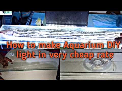 How to make Aquarium DIY light || DIY Aquarium Light || Fish & Aquarium ...