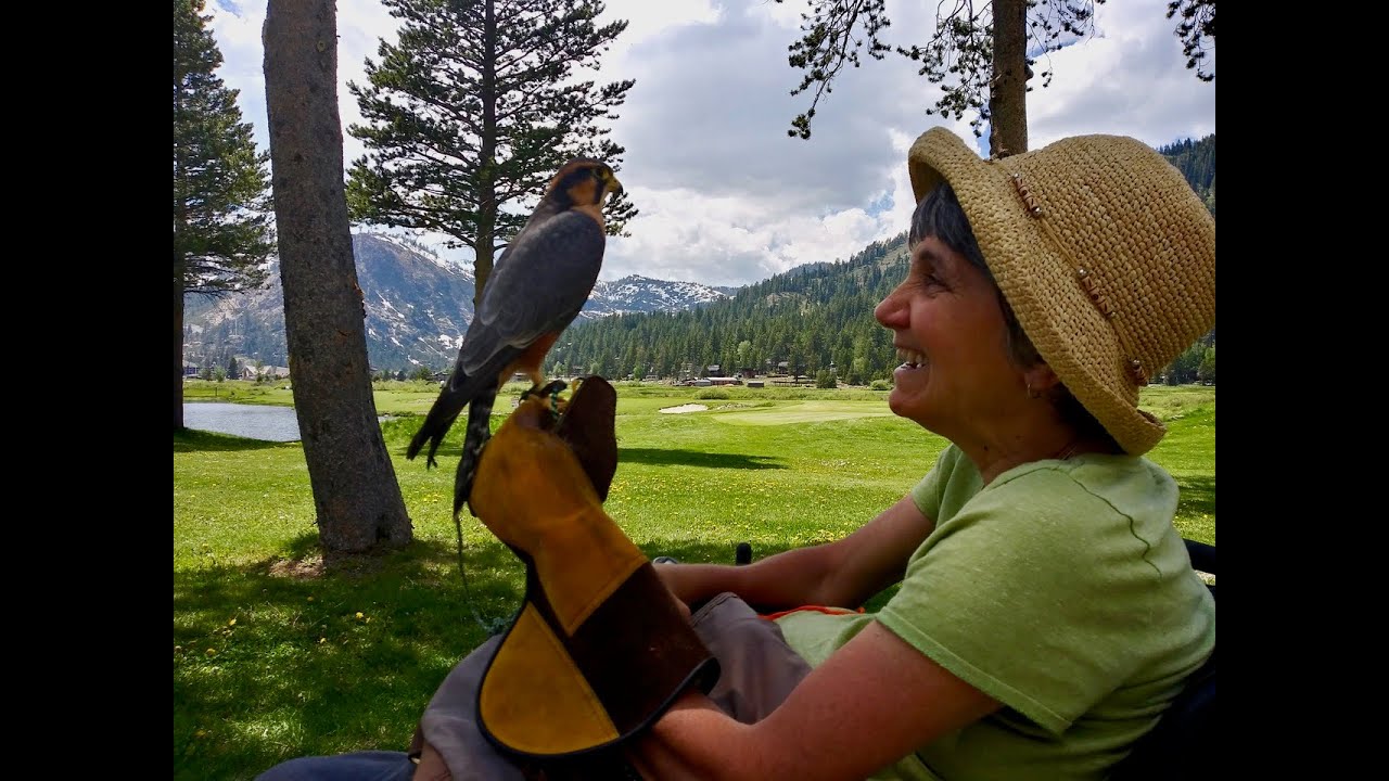 Global Voices of Accessible Travel interview with Bonnie Lewkowicz ...