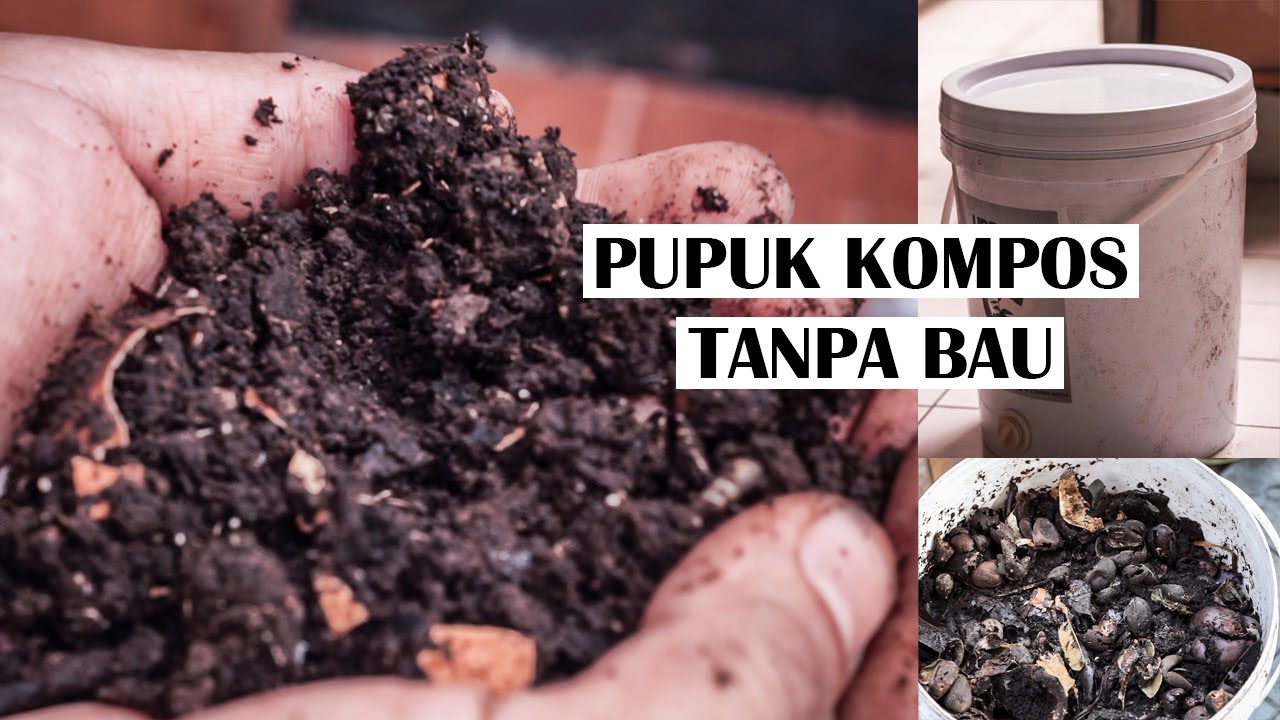 Cara membuat Pupuk Kompos mudah & tanpa bau di rumah 😀 - YouTube