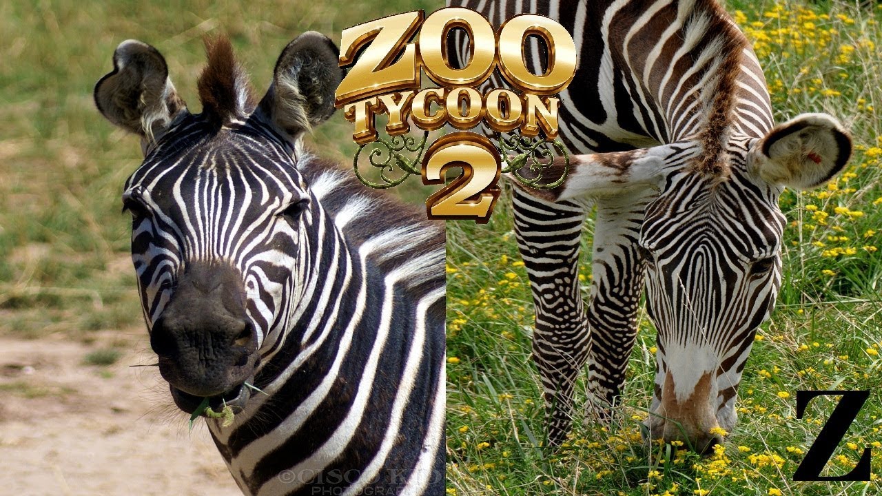 Zoo Tycoon 2: World Zoo || Zebras - YouTube