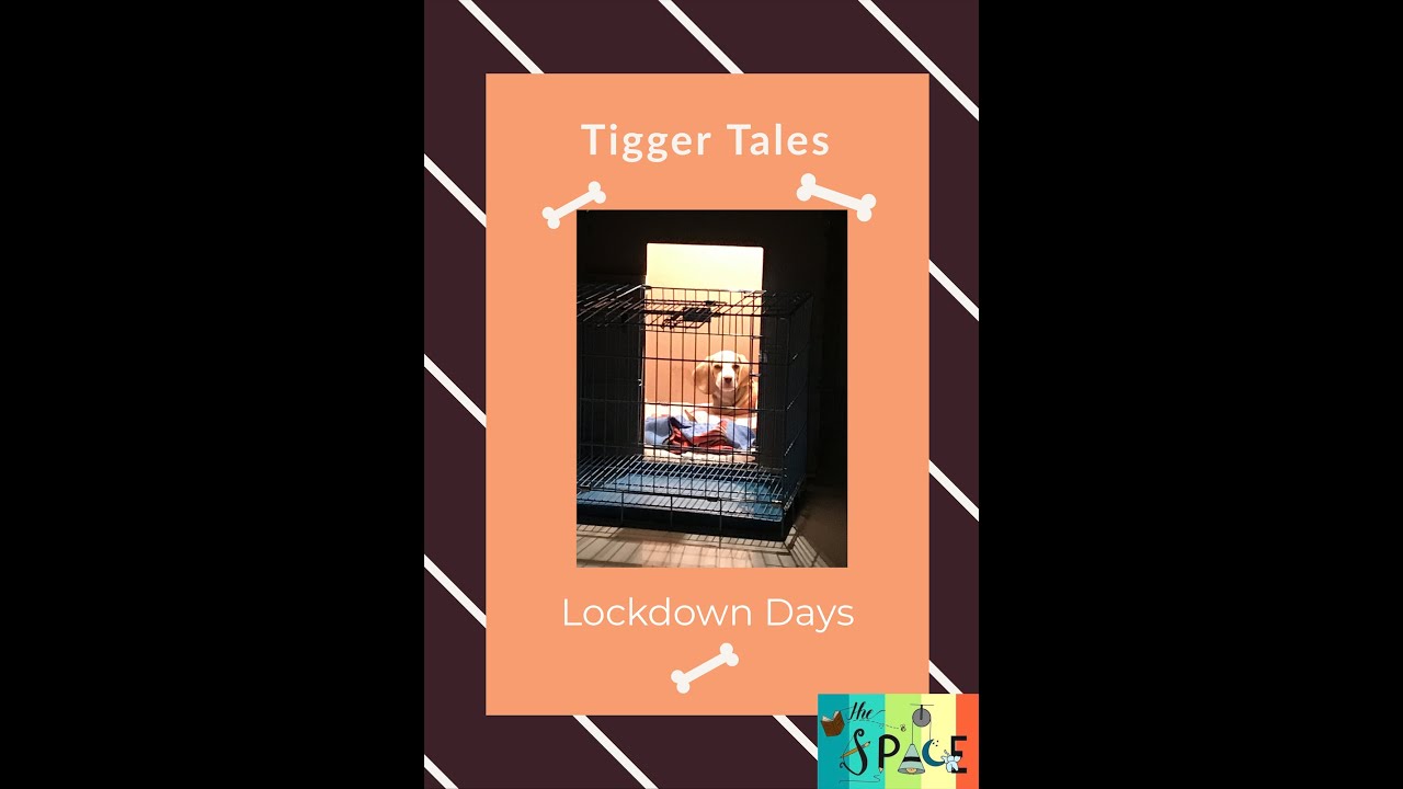 Enchanted Hour - Tigger Tales - Lockdown Days - YouTube