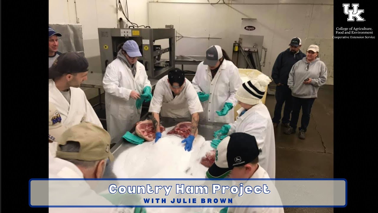 Country Ham Project - YouTube