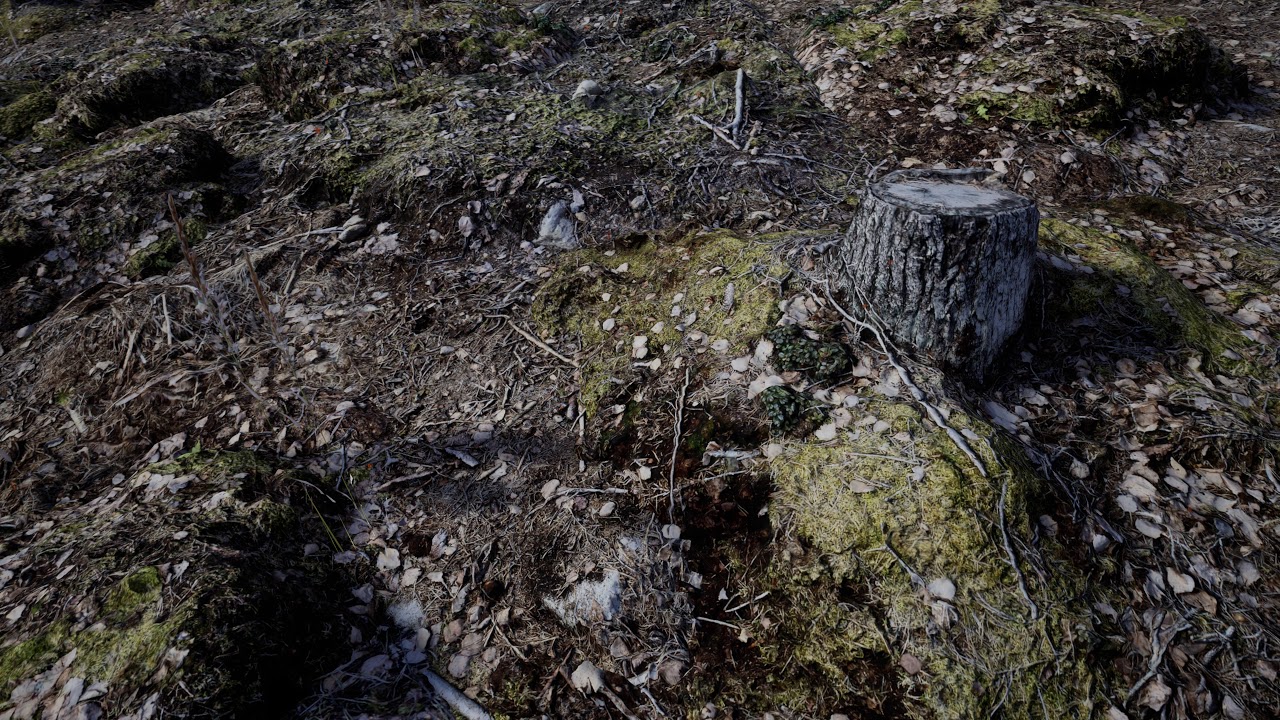 Forest floor for UE4 - YouTube