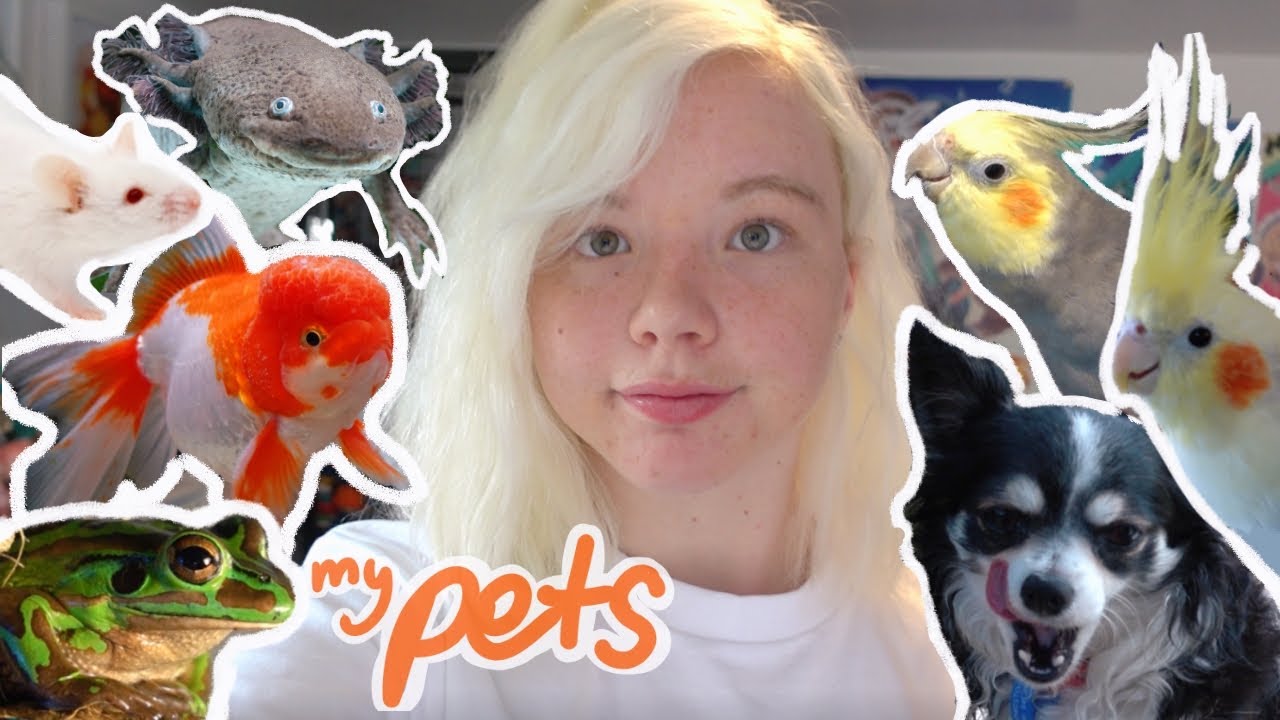 ALL OF MY PETS 2021! - YouTube