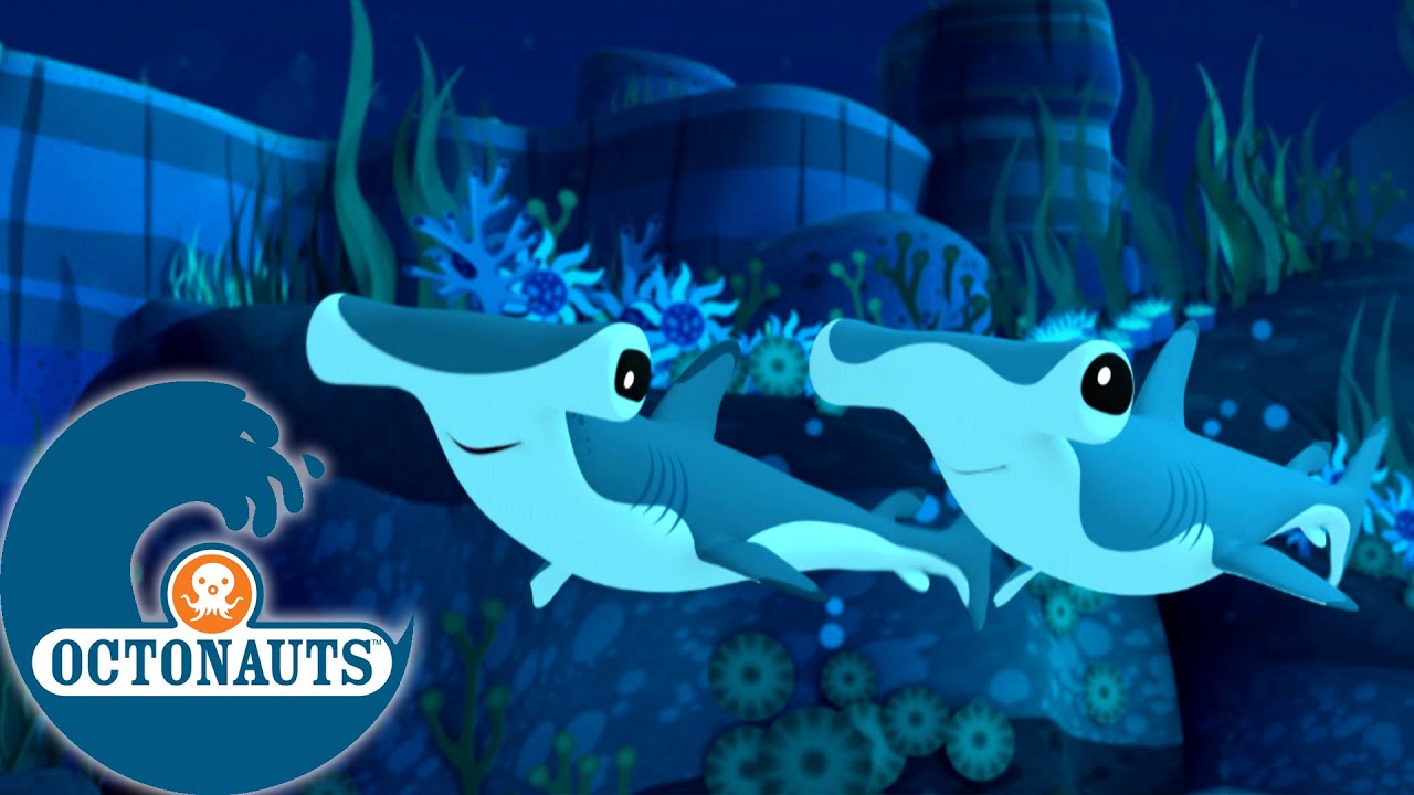 Octonauts - Problème avec le requin-marteau | Dessins animés pour ...