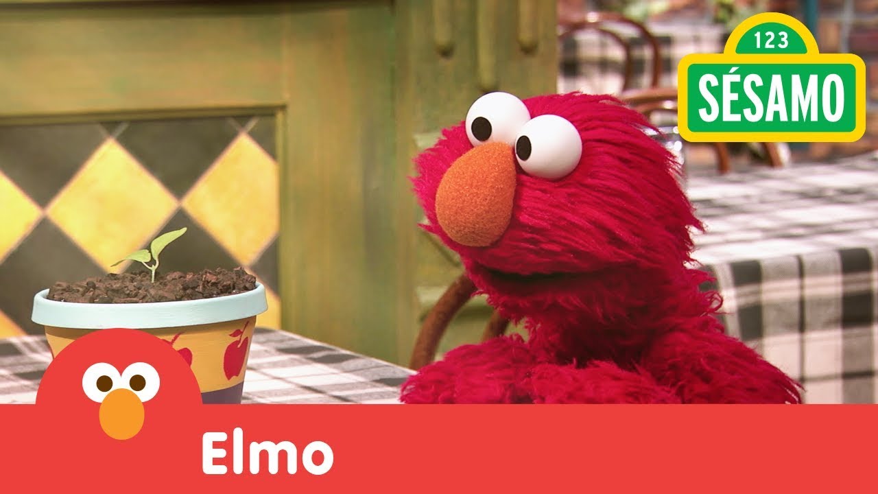 Plaza Sésamo: Elmo cuida sus plantitas con una canción. - YouTube
