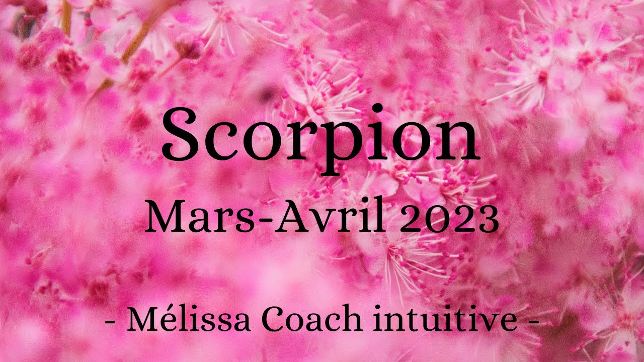 SCORPION Mars/Avril 2023 : La réunion de deux âmes soeurs - YouTube