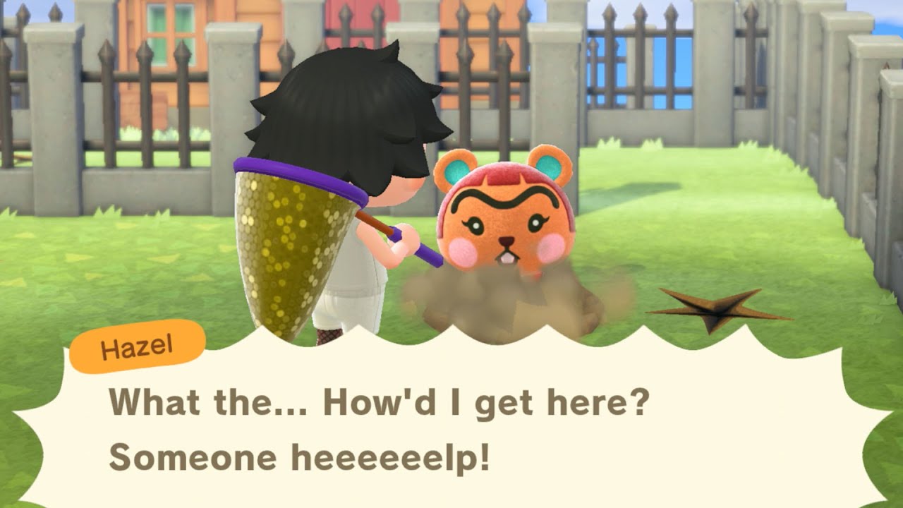 OUR ISLAND ISNT SAFE! - Animal Crossing New Horizons Fresh Start 2024 ...