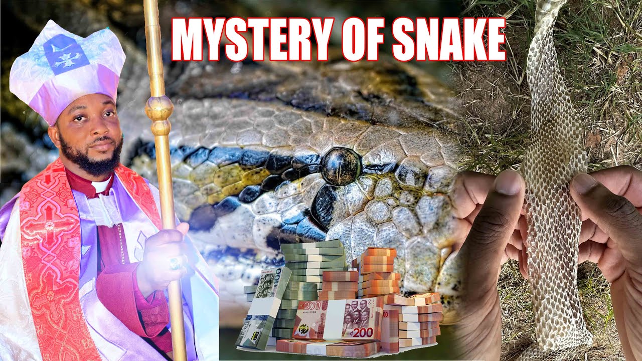 Burn Snake Skin And Open Your Legs Over The Smoke - Snakes & Their ...