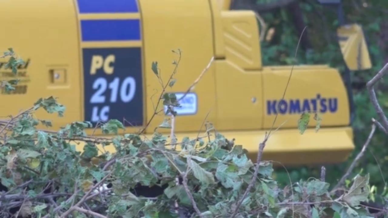 Watch: Ameren's 'tree eating machine' cuts through limbs near ...