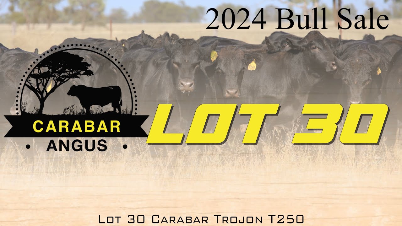 Lot 30 Carabar Trojon T250 - YouTube