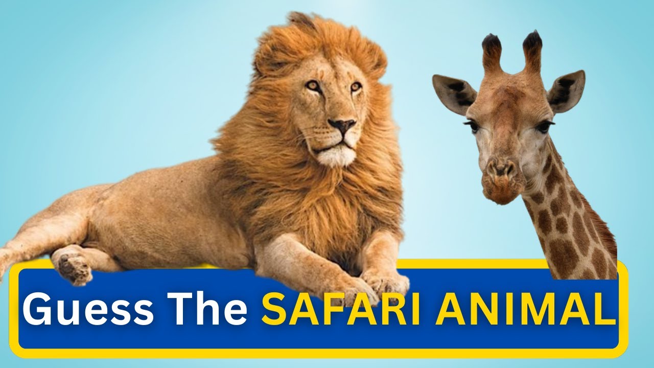 Guess the Safari Animals - Wild Animals Vocabulary for kids - Wild ...