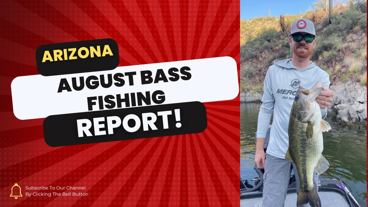Arizona August Bass Fishing Report 2024 - YouTube