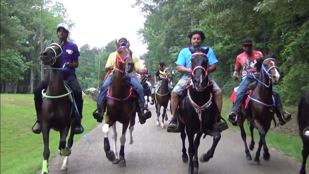 GAITED HORSE DRAG RACING with Big Money Stables - YouTube