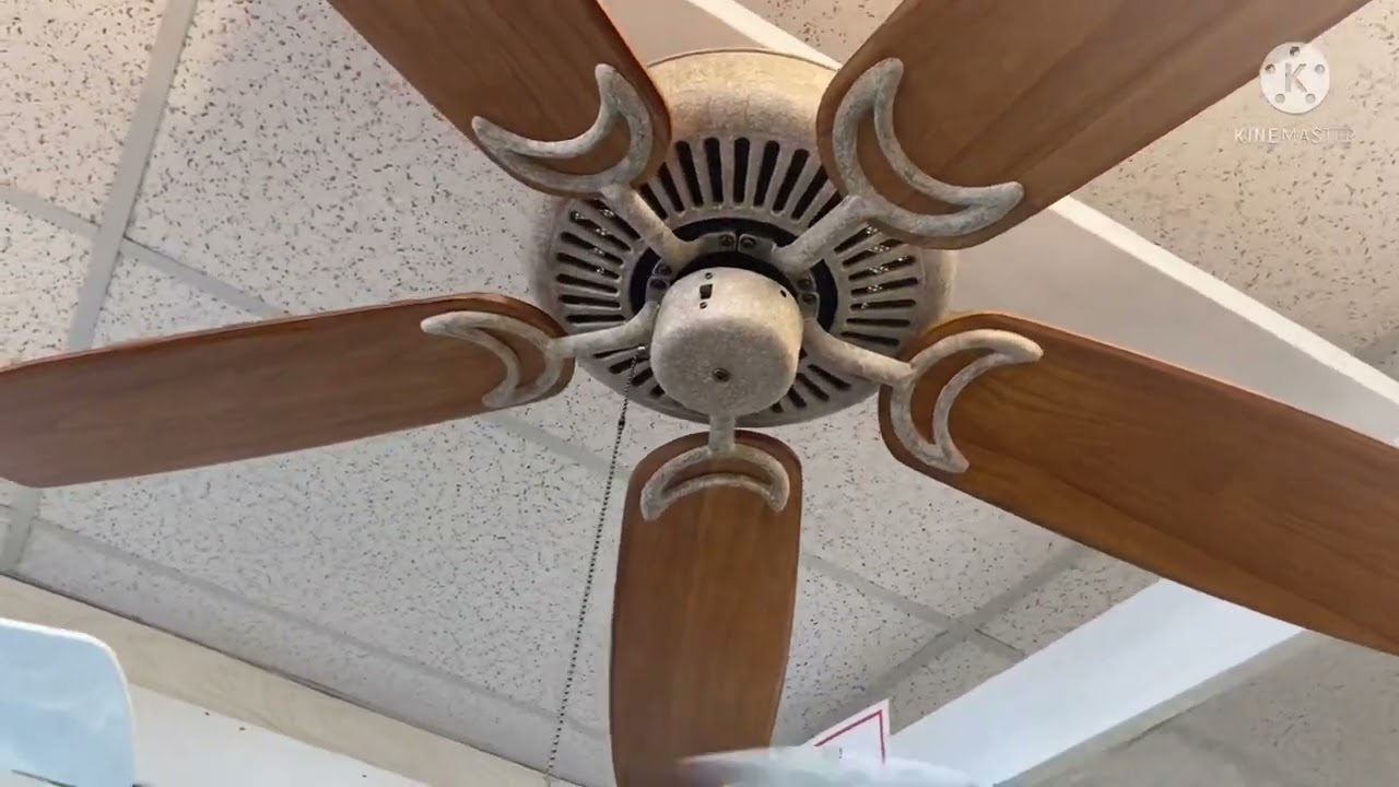 Ceiling fans at Dans fan city in 2X - YouTube