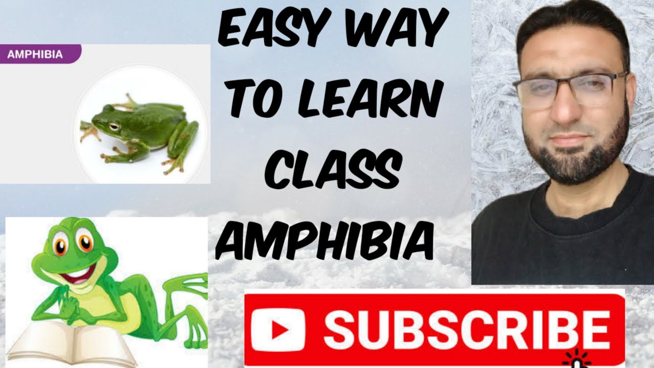 Easy way to learn class Amphibia - YouTube