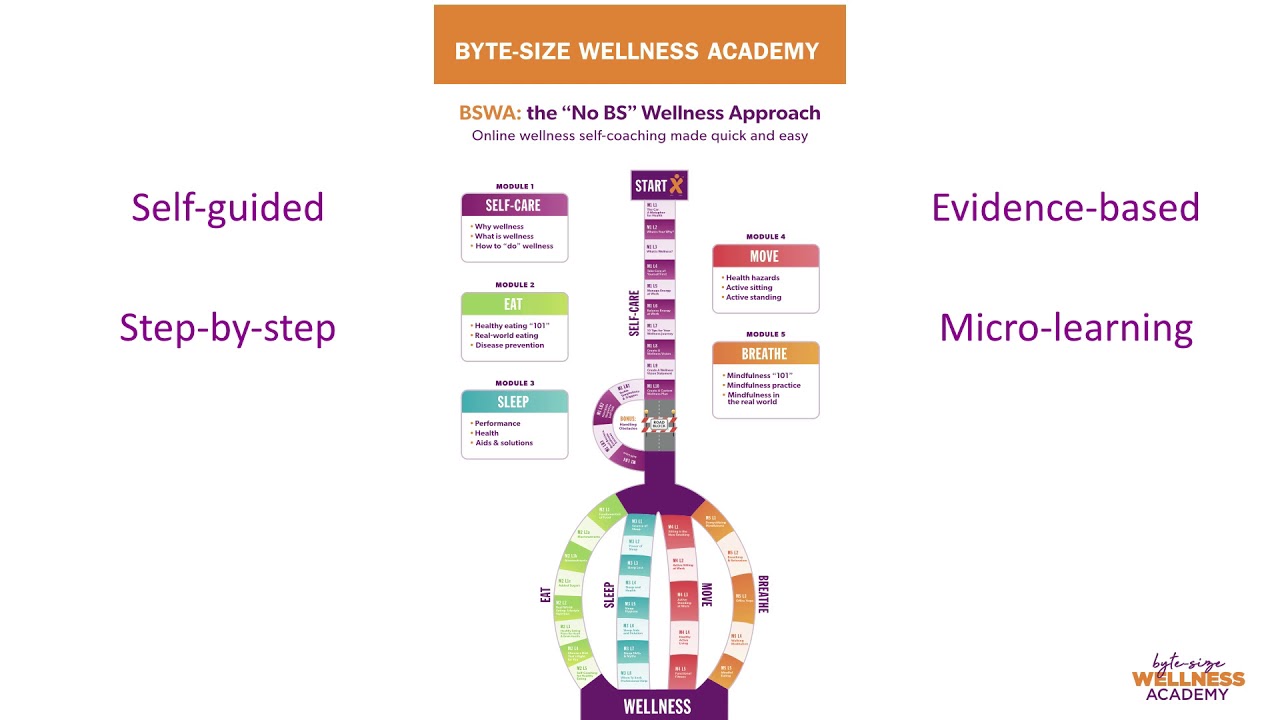 Welcome To Byte Size Wellness Academy YouTube welcome-to-byte-size-wellness-academy-youtube
