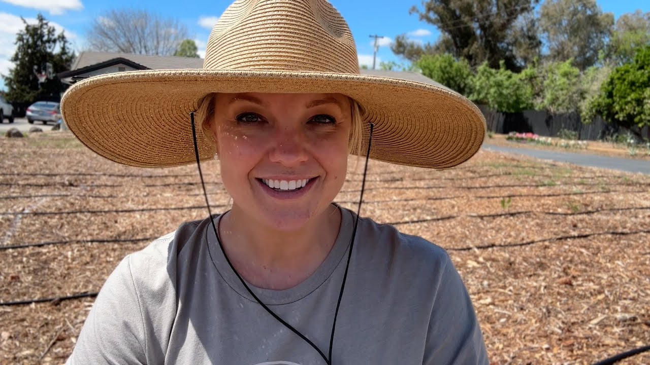 Planting Up the Flower Field 🌻🌸🪻 and Proven Winners has Bulbs?! :: Dig ...