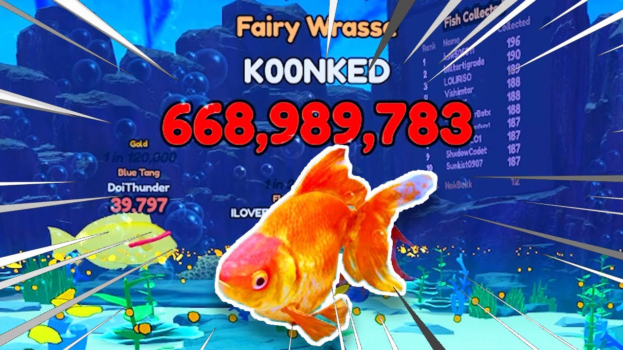 Be Big Fish Roblox Game - YouTube