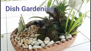 How to make your own Dish Garden? | Dish Garden | Dish Gardening