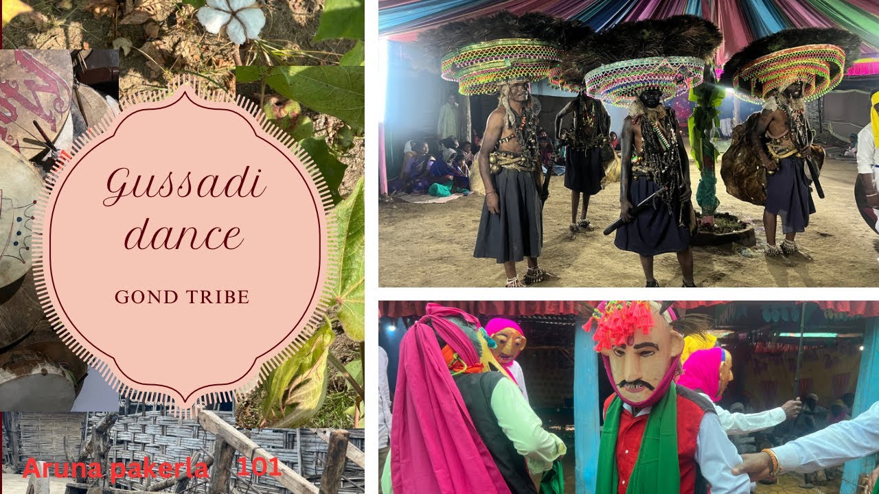 Gussadi dance-Gond tribe,Kumaram Bheem-Asifabad ||Aruna pakerla ...