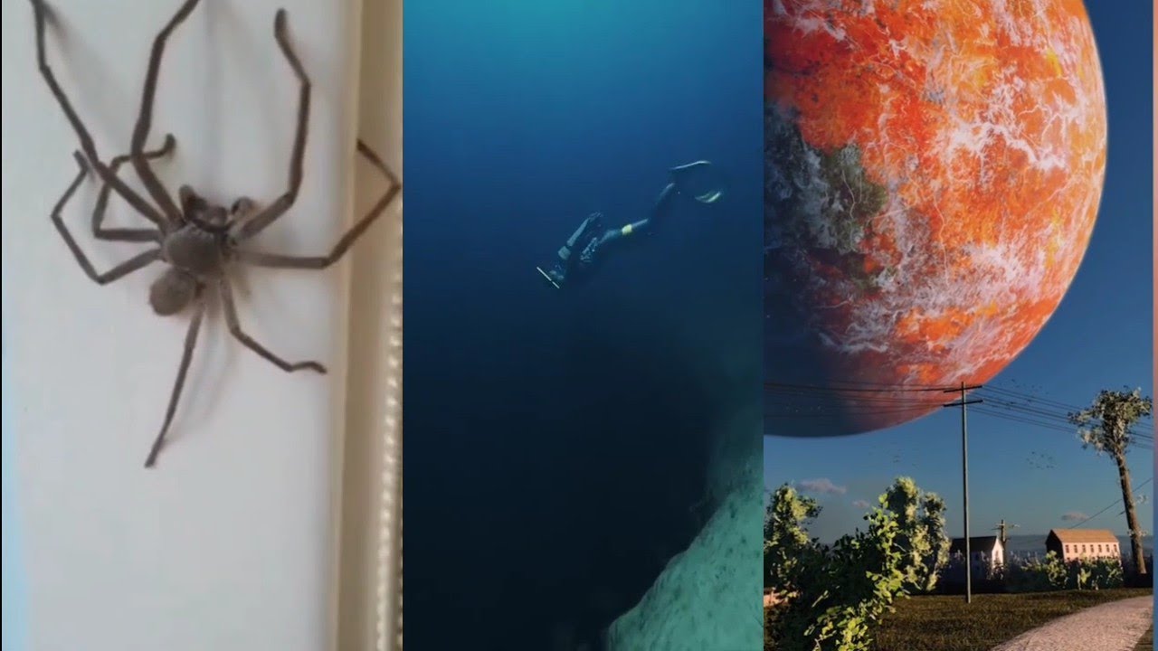 ESTOS VIDEOS REVELARAN TUS FOBIAS Y MIEDOS (Test de fobias) - YouTube