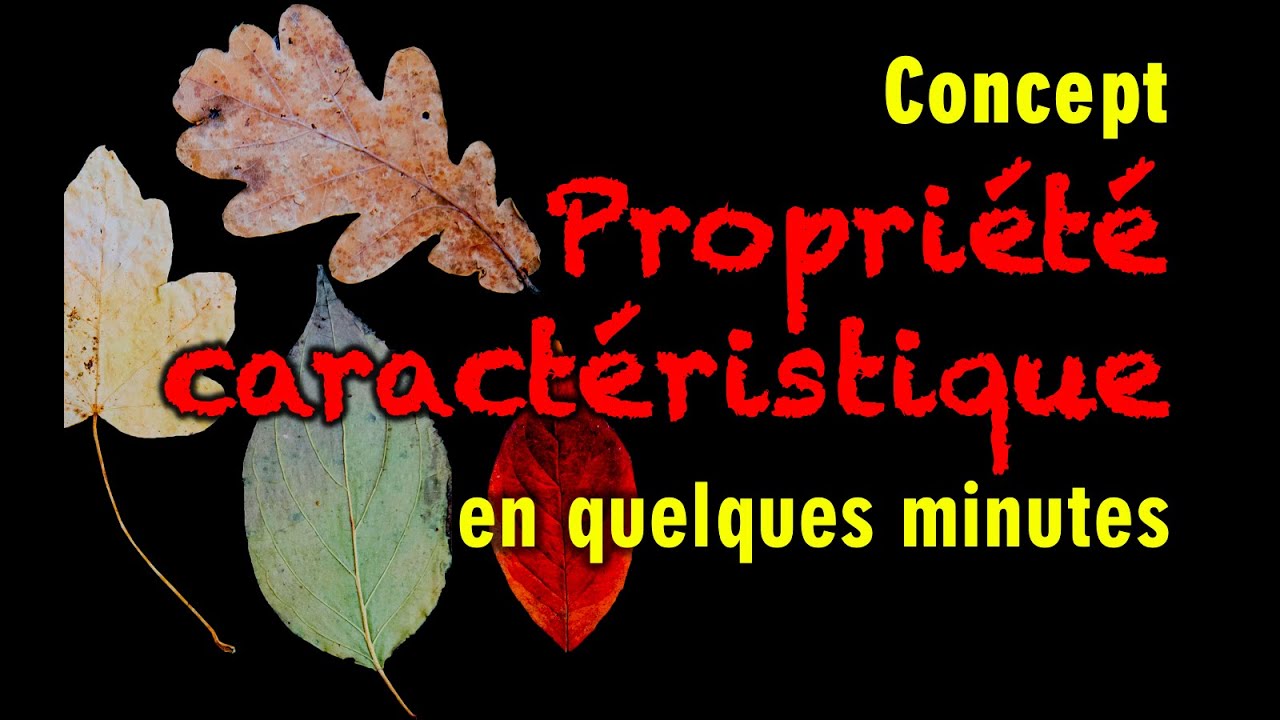 006-Propriété caractéristique - YouTube