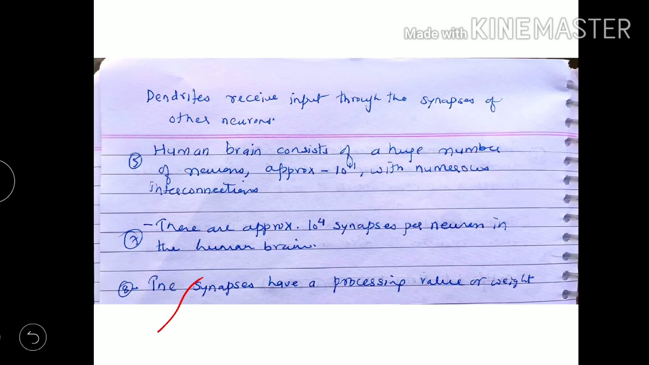 Biological neural network ( BNN)- lecture 15/ machine learning - YouTube