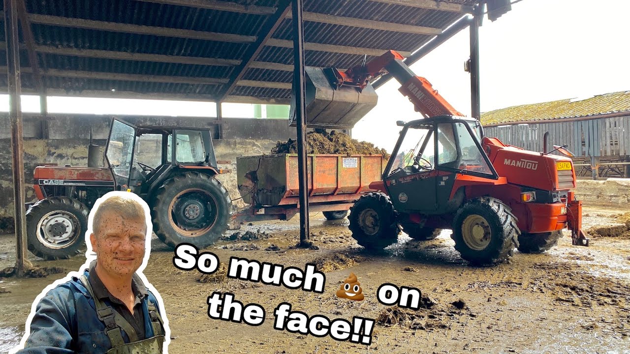 SHIFTING MEGA AMOUNTS OF POO WITH VINTAGE TRACTORS! BREAKING GATES ON ...