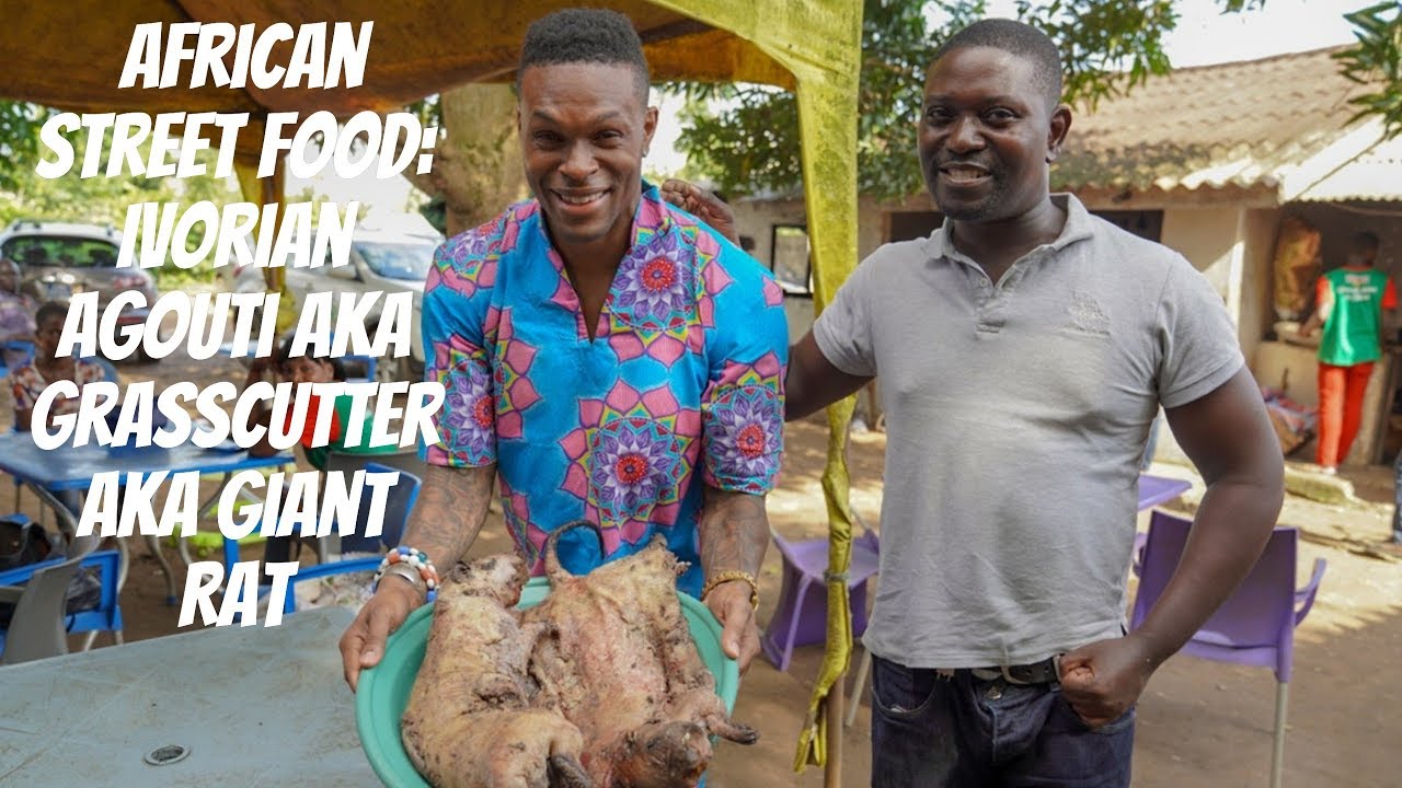 African Street Food: Ivorian Agouti AKA Grasscutter AKA Giant Rat - YouTube