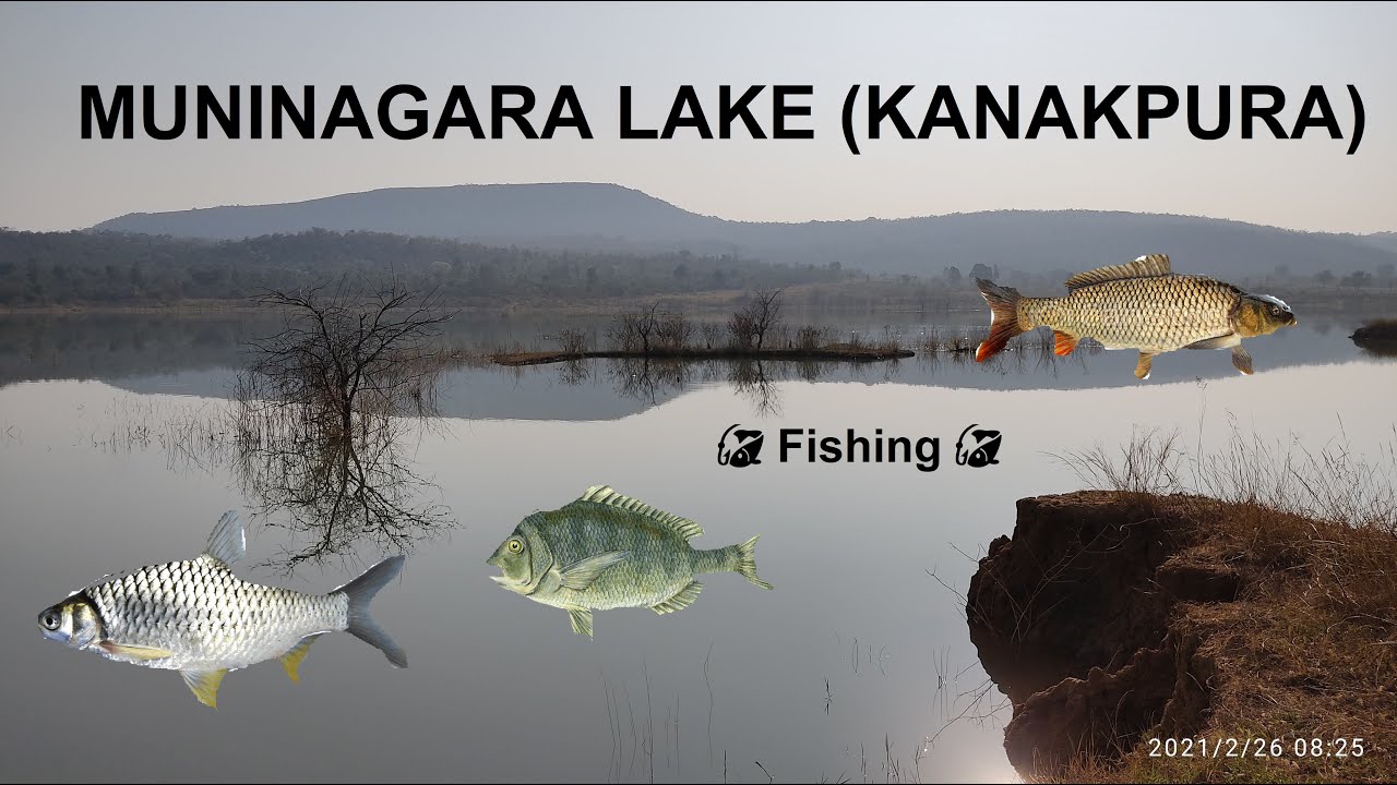 Friday Fishing at Muninagara Lake || 50 Kms from Bangalore - YouTube