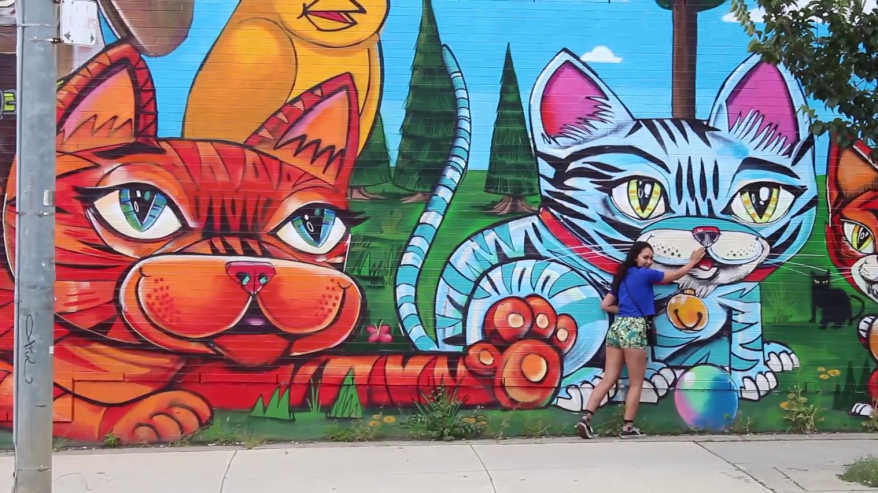 WHERE TO FIND TORONTO CAT MURALS | MEOW VLOG - YouTube