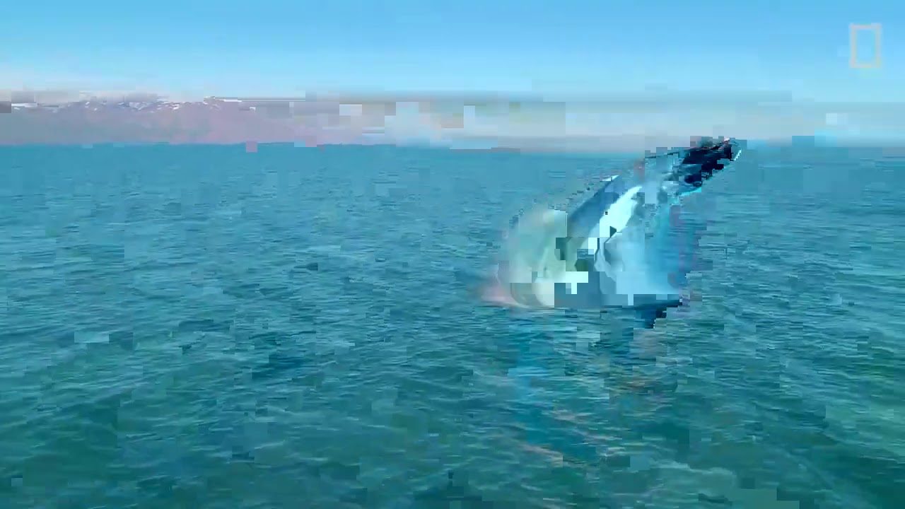 Earth 101 National Geographic - YouTube