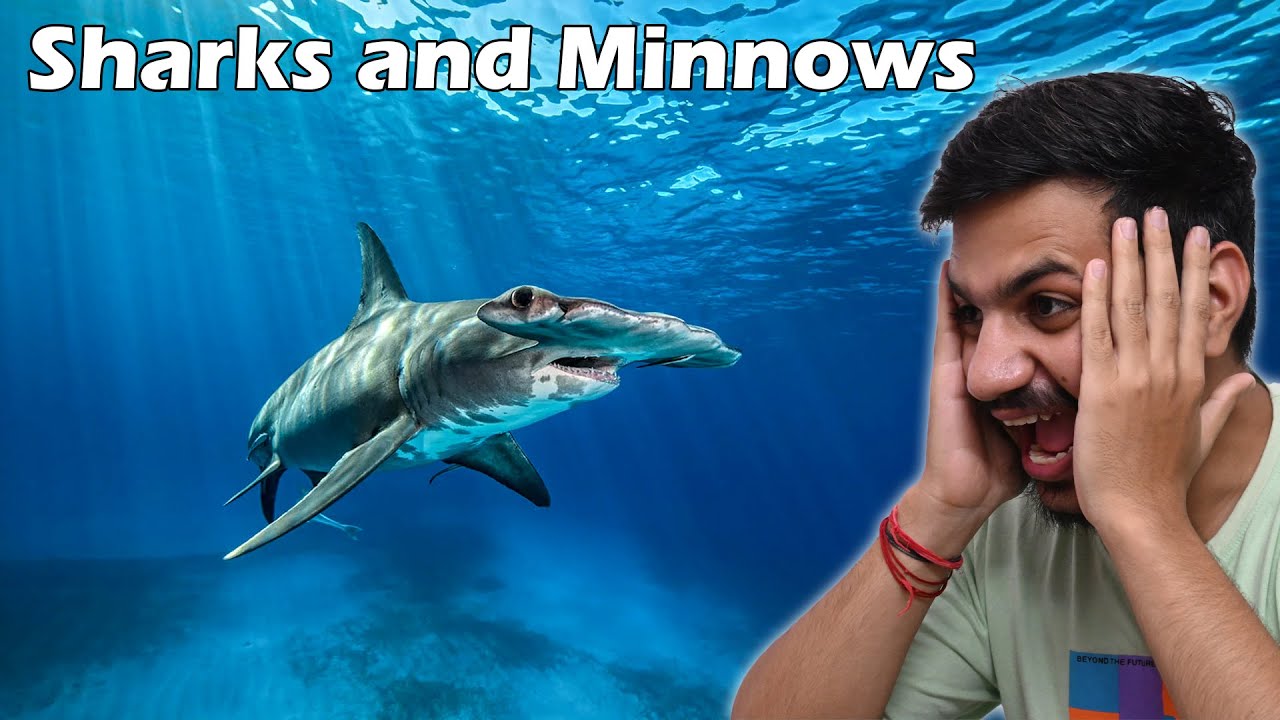 ESCAPE FROM SHARK ATTACK IN SWIMMING POOL - YouTube