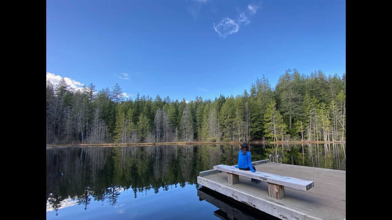 Best Vancouver Hiking(Intermediate)|Whyte Lake Trail - YouTube